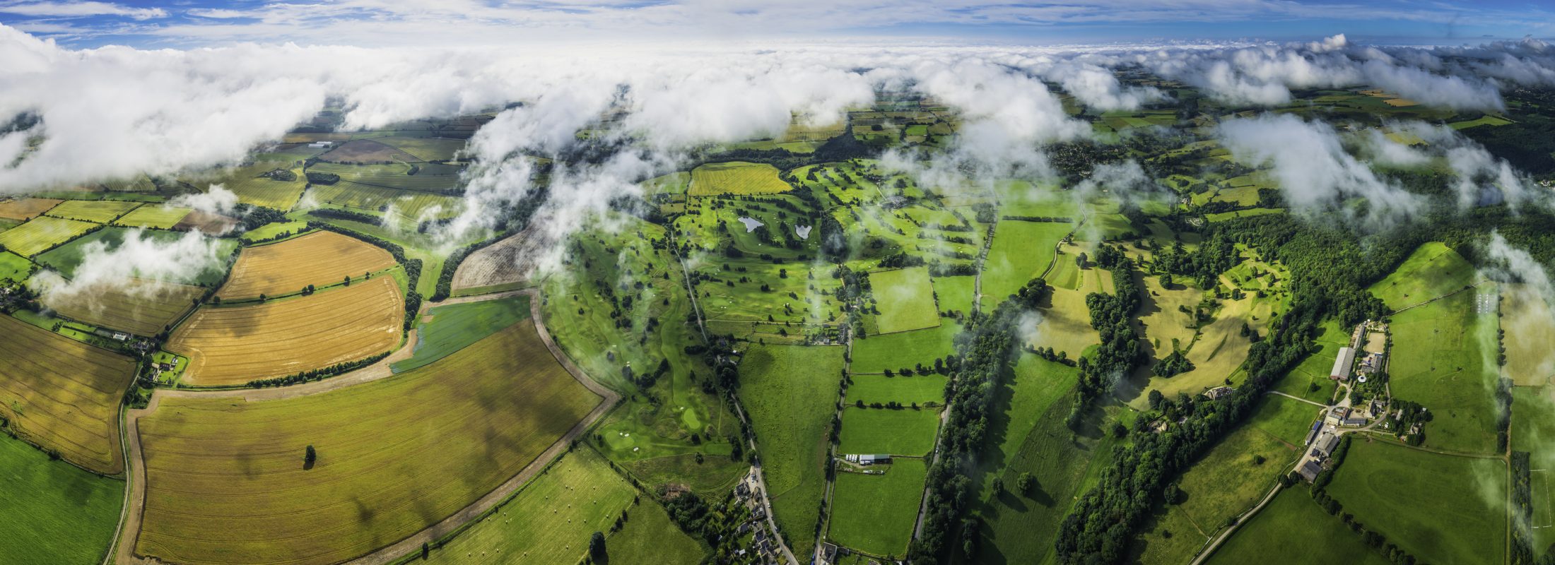 Q.Checkout - Quantium : Quantium